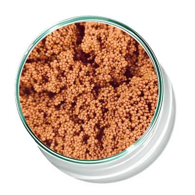 China Biochemical Tail Water Treatment Reddish-Brown Decolorizing Resin for COD Reducing and Adsorption for sale