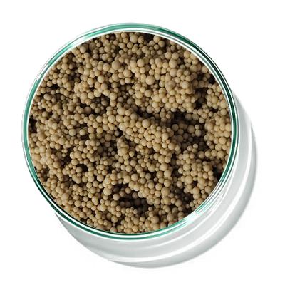 China Industrial Grade Ion Exchange Resin for VOCs Adsorption and Organics Purification in Gas Recovery for sale
