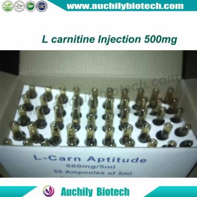China L-carnitine Injection 500mg/5ml for Body Slimming Losing Weight for sale