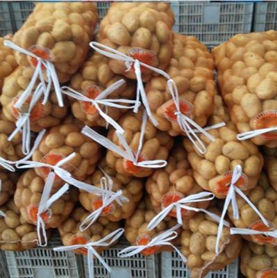 Cina Agricoltura industriale 50x80 cm PP PE Sacchetti di cipolle di frutta fresca imballaggio sacchetto a maglia Leno per verdure in vendita