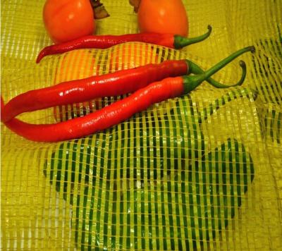 Cina Agricoltura industriale 50x80 cm PP PE Sacchetti di cipolle di frutta fresca imballaggio sacchetto a maglia Leno per verdure in vendita