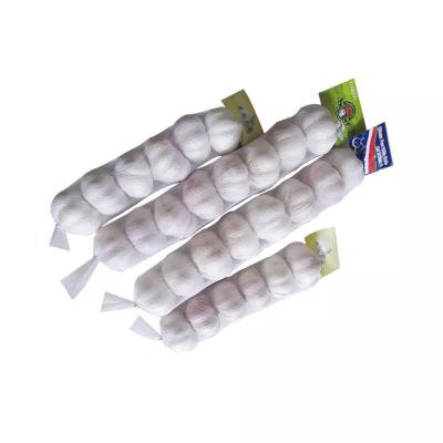 Cina Industriale Sinbom sacchetto a maglia in plastica ad aglio per l'agricoltura e l'agricoltura in vendita
