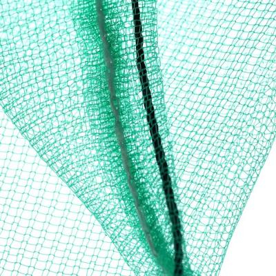 Cina Acciaio di copertura e protezione per palme di dattero in vendita