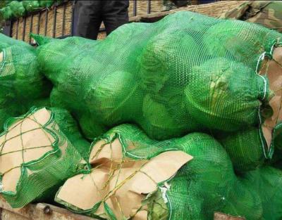 Cina Bolsetti a maglia di plastica a maglia Pp Leno per agricoltura in vendita