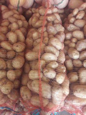 Cina 40*60cm PE riciclata legna da ardere imballaggio mesh sacchetto per la conservazione di patate di cipolla aglio in vendita
