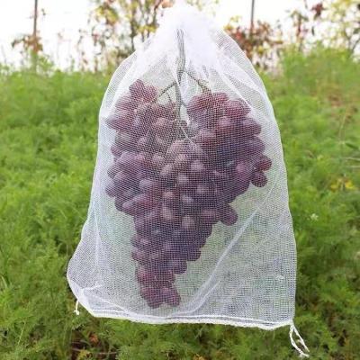 Cina Popolare Agricoltura Giallo Hdpe sacchetti a maglia tubolare per proteggere la copertura dell'uva in vendita