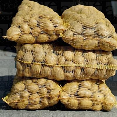 Cina Sacchetto di rete Raschel con sigillo a corda di trazione per l'imballaggio di cipolle riciclabili in HDPE in giallo in vendita