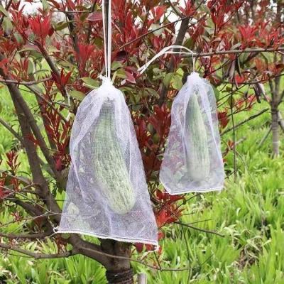 Cina 53*94cm Sacchetto di rete a maglia non tessuta per la protezione dei frutti di mango nell'agricoltura industriale in vendita