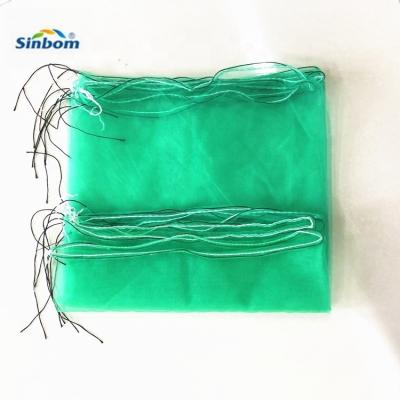 Cina Ottieni il miglior sacchetto di rete HDPE per la protezione da pioggia di palma di dattero a Dubai a prezzi accessibili in vendita