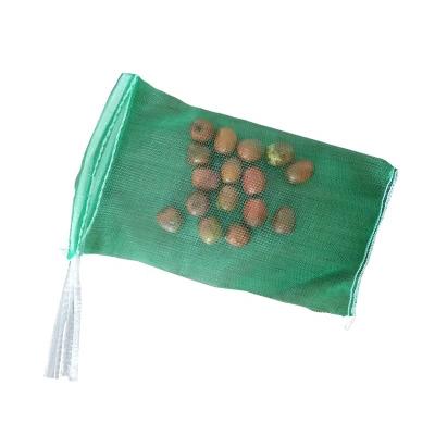Cina Sacchetto di protezione per reti di frutta di plastica ecologica con reti mono mesh da 70 gm-200 gm in vendita