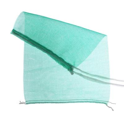 Cina Sacchetto di protezione per reti di frutta di plastica ecologica con reti mono mesh da 70 gm-200 gm in vendita
