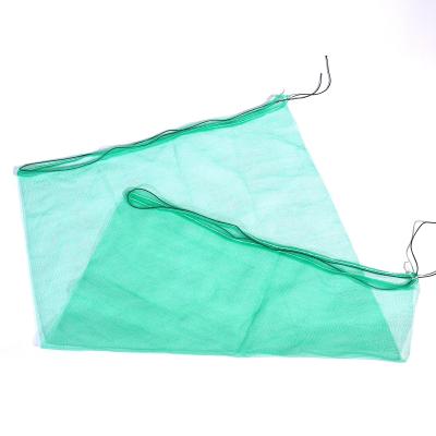 Cina 80x100cm Anti-Insect Fruit Protection Mesh Bag 40-100gsm Materiale PE per palma datterica in vendita