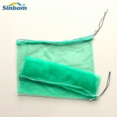 Cina Proteggi il tuo albero da frutto con Green PE Mesh Bag Date Palm Cover e campione offerto in vendita