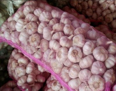 Cina Confezionamento di aglio fresco Pp Frutta Sacchetto a corda a maglia rosa Realizzato in materiale 100% PP/PE in vendita