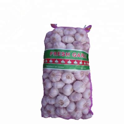 Cina 2024 Leno Mesh Tubular Net Bags For Vegetable Packing Surface Handling Hot Stamping in vendita