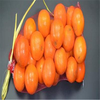 Cina Convenient Tie String Reticolato PE Monofilament Mesh Sacchetti di ortaggi per prodotti freschi in vendita