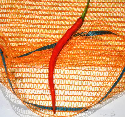 Cina Sacchetti a maglia a maglia in PE tubolare certificati SGS per il trasporto e la movimentazione delle patate in vendita