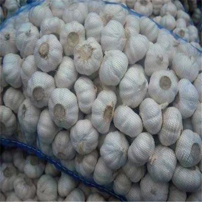 Cina Spessore Le richieste del cliente Sacchetto di rete a maglia di polipropilene su rotolo per ortaggi frutta in vendita