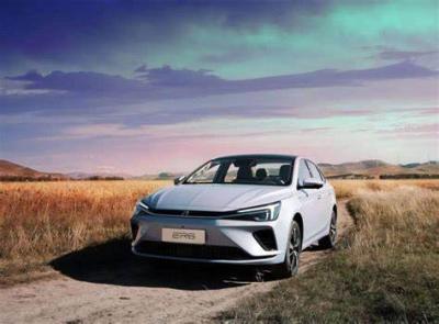 Cina La meraviglia ER6 di Feifan autonomia ruota SUV ad alta velocità automatico delle automobili il FWD 4 di EV in vendita