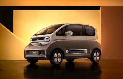 China Auto Adult Small Electric SUV Cars Baojun Kiwi High Speed New Energy 105km/h for sale