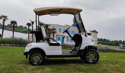 China 4x4 2 Elektrische Ezgo het Golfkar 72V 5kw Mini Electric Club Car van Seater Te koop