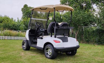China 4x4 2 Elektrische Ezgo het Golfkar 72V 5kw Mini Electric Club Car van Seater Te koop