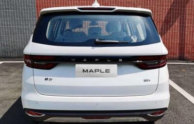 China Geely Maple Leaf 80V Pure Electric Cars MPV FWD Excellent Version 130Km/h for sale