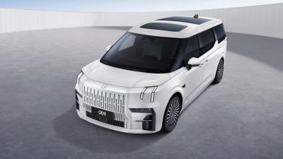 중국 지크 009 순수 전기 럭셔리 MPV MPVS 140kwh 배터리 822km CLTC 범위 0-100km/h 4.5초에 판매용