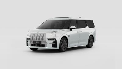 중국 지크 009 순수 전기 럭셔리 MPV MPVS 140kwh 배터리 822km CLTC 범위 0-100km/h 4.5초에 판매용