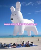 China Inflatable helium rabit balloon for sale