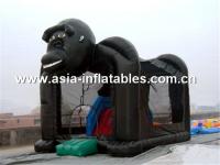 China inflatable combo inflatable castle combo inflatable bouncer combo for sale