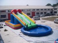 China Customized Inflatable Hippo Slide for sale