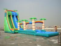 China Commercial Grade Inflatable  Pool Slide with Palm Trees for sale
