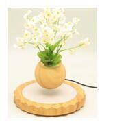 China wooden magnetic levitate floating bottom air bonsai pot tree for sale