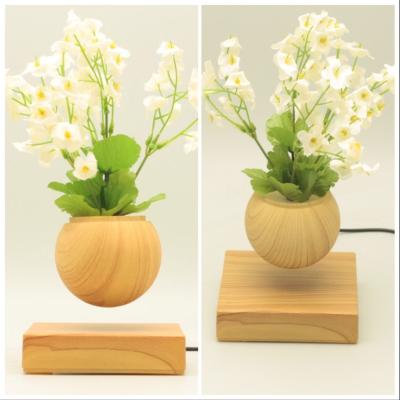China new 360 spining wooden magnetic levitate floating air bonsai tree for decor gift for sale