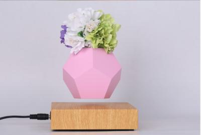 China hotsale magnetic levitate floating bottom air bonsai pot planter tree for sale
