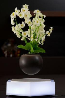 China new christmas gift magnetic floating levitation air bonsai potted plant trees for sale