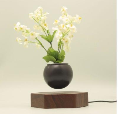 China new hexagon wooden magnetic floating levitation air bonsai pot tree flowerpot for sale