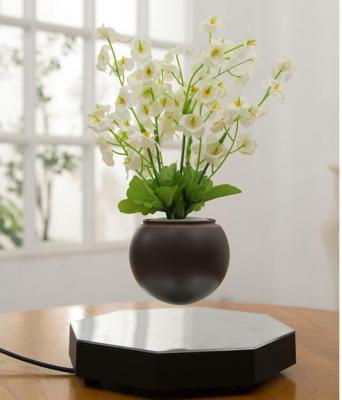 China new hexagon magnetic floating levitate bottom air bonsai plant flower pot for sale
