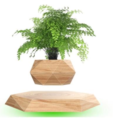China Flower pot Magnetic Levitating Plant pot Air Bonsai Levitating Bonsai Floating Plant for sale