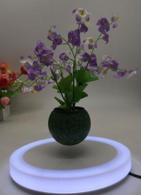 China led light magnetic levitation floating air bonsai plant pot tree gift for sale