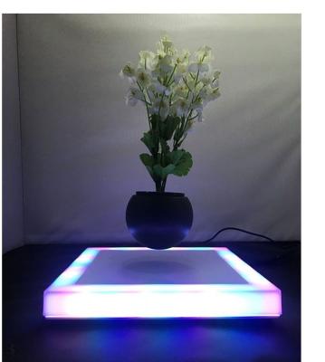 China creative magnetic levitation air bonsai PLANT flowerpot christmas gift for sale