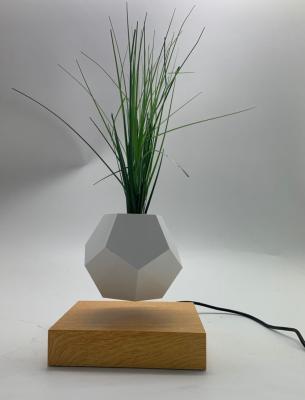 China 360 rotating little star magnetic levitation Suspension air bonsai vase plant tree flyte for sale