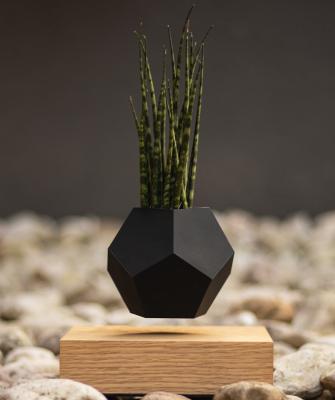 China Levitating Plant Pot & Base ,magnetic floating air bonsai flowerpot for gift decoration for sale