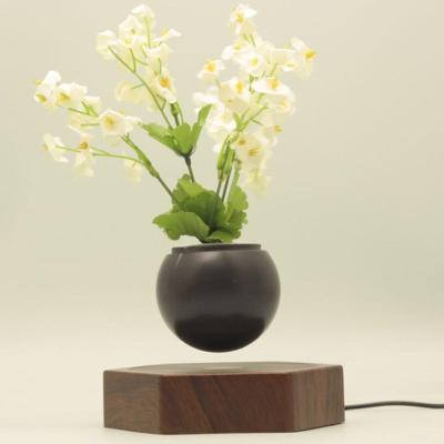 China new hotsale magnetic levitation flying air bonsai plant with can customize logo and packing box for sale