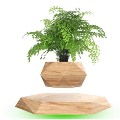 China new hotsale magnetic levitation floating bottom air bonsai plant tree flowerpot for sale