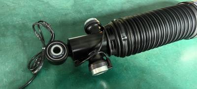 Cina 37126794139 sospensione pneumatica a molla assorbente d'urto posteriore compatibile con BMW in vendita