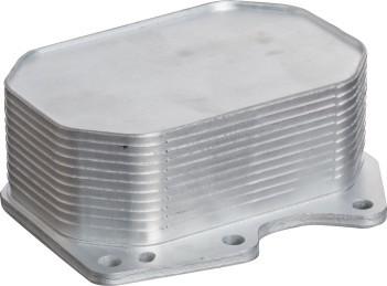 Cina 1704048, radiatore dell'olio per TRANSITO MK7 2006-2013 2,2 di FORD in vendita