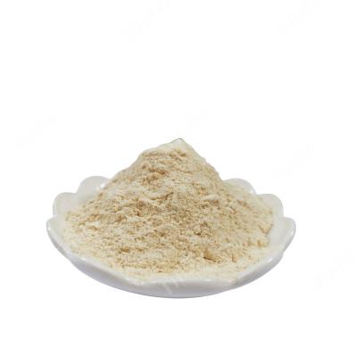 China Factory Supply Dehydrate Organic Horseradish Root Extract for sale