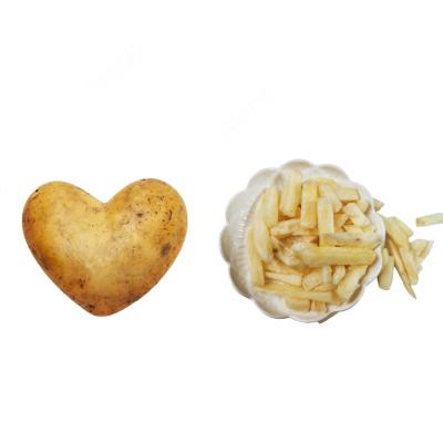 China Premium Wholesale France Potato Flavor Food Fries Potato for sale